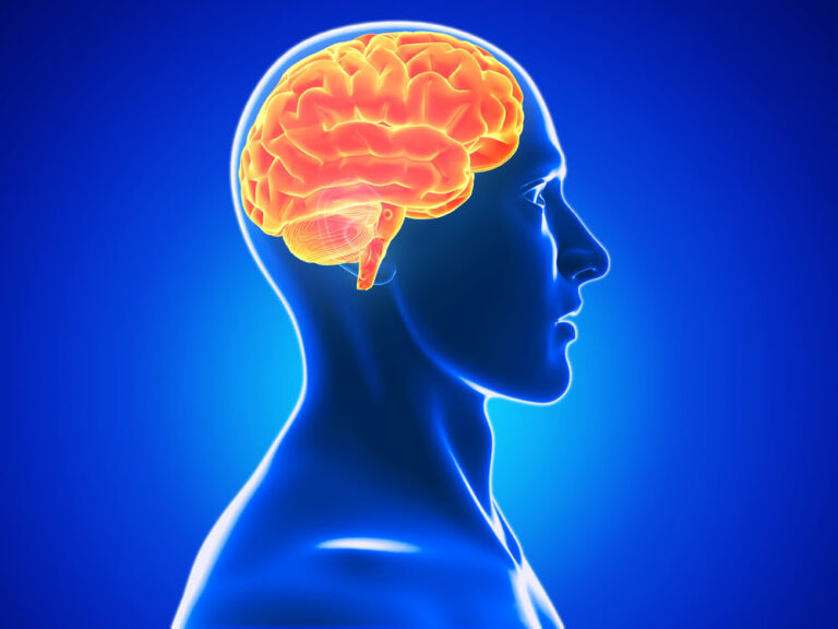 Quelles sont les principales pathologies du cerveau
